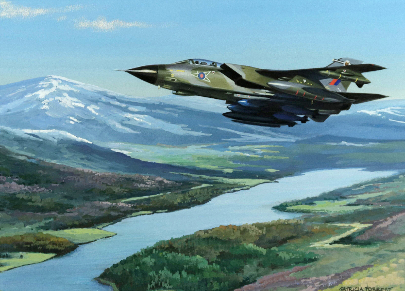 Guild of Aviation Artists - Aviation Paintings of the Year 2019 : : FLYER
