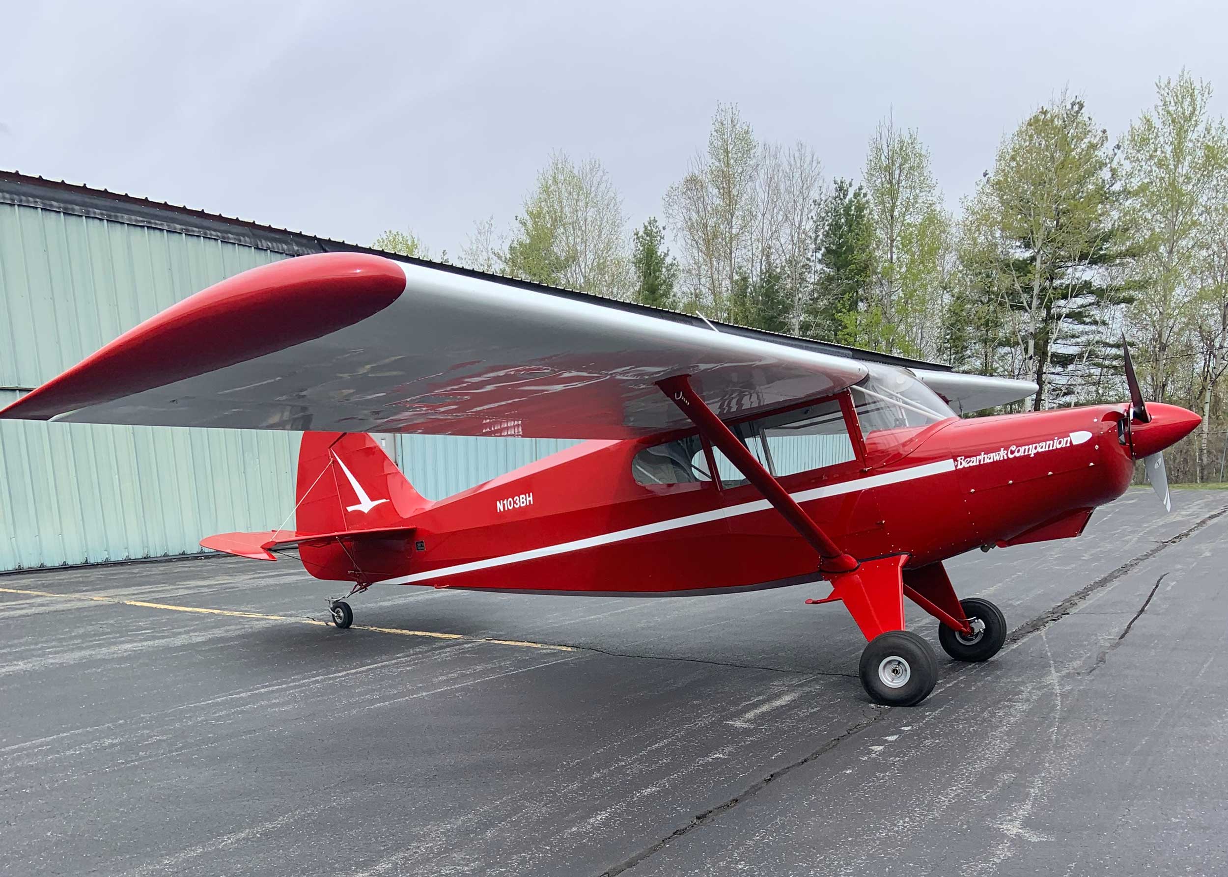 Builder flies first completed Bearhawk Companion kit : : FLYER