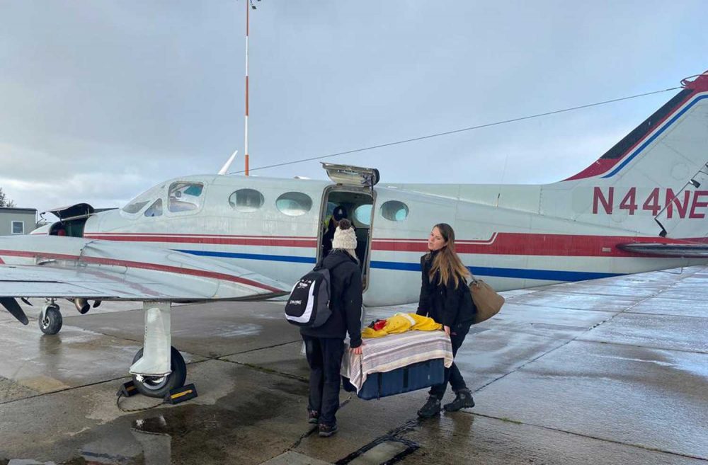 Flippers up for seal to Shetland flight : : FLYER