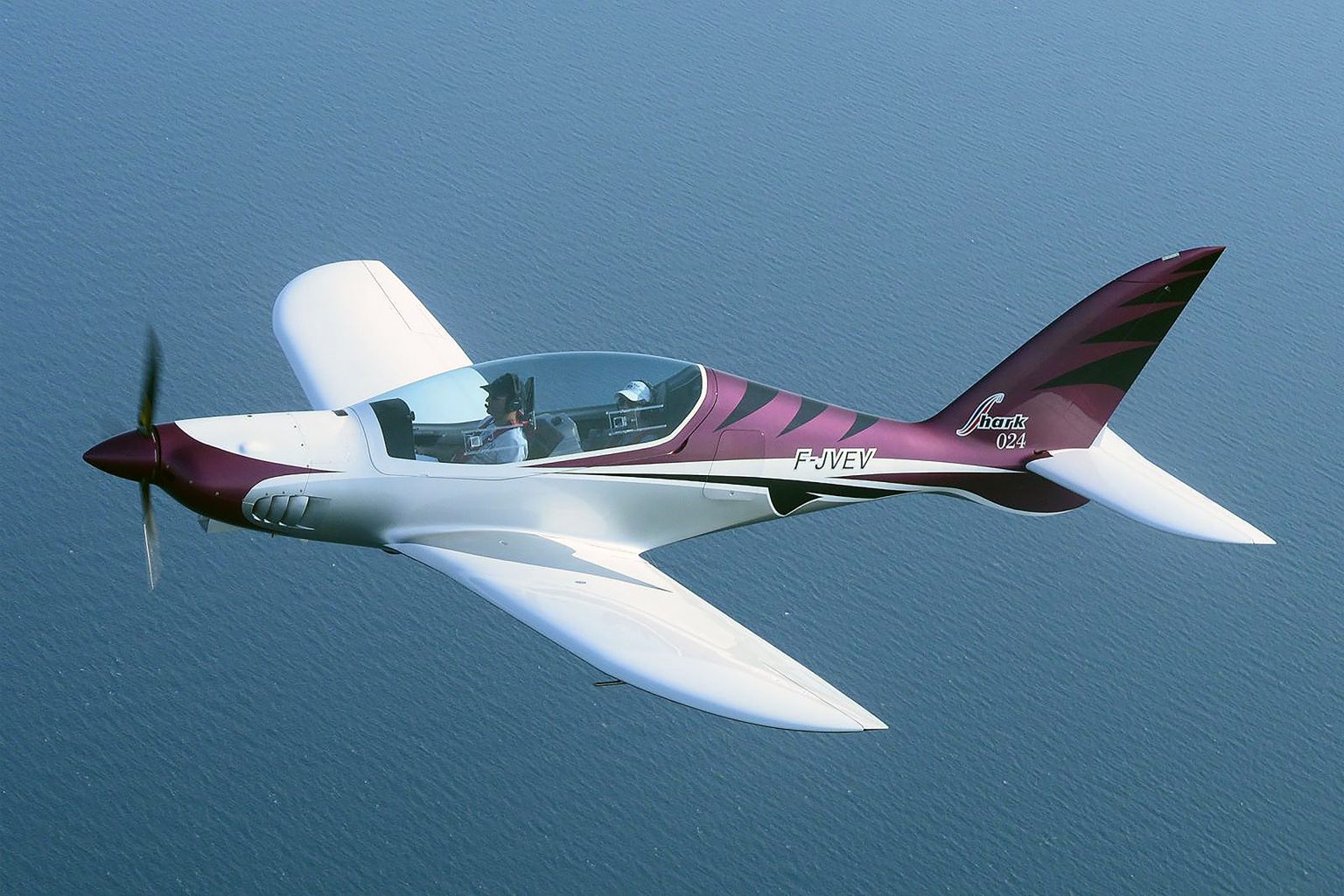 600kg Microlights : : FLYER