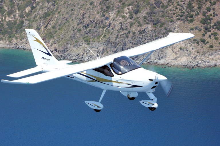 600kg Microlights : : FLYER