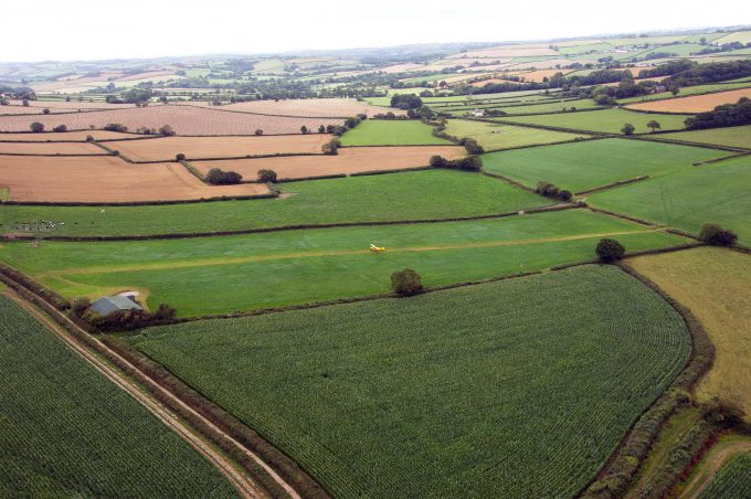 Farm Strip Flying: Now is the time! : : FLYER