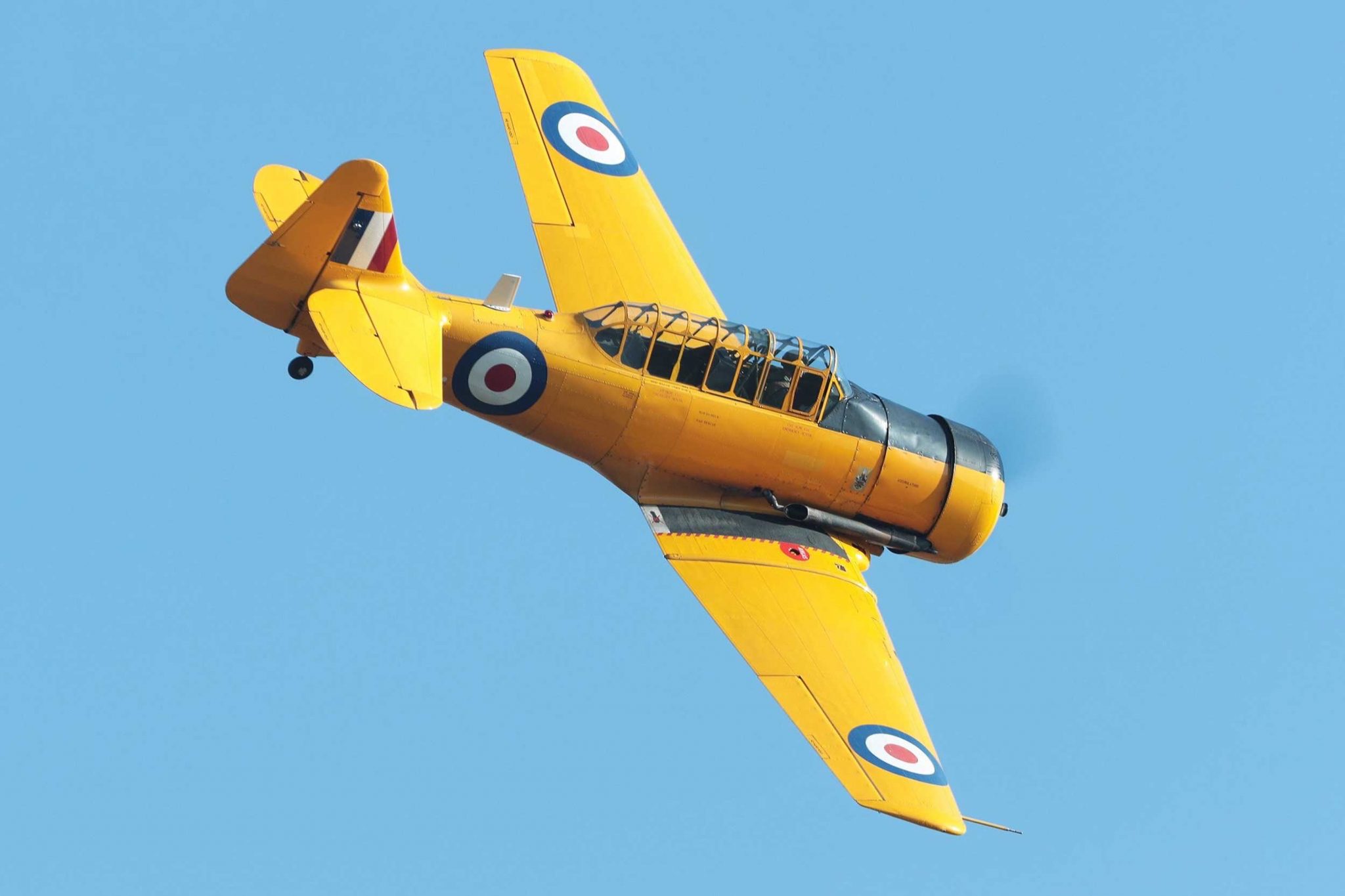 First Solo: Sam Worthington-Leese: September 2022 : FLYER : FLYER