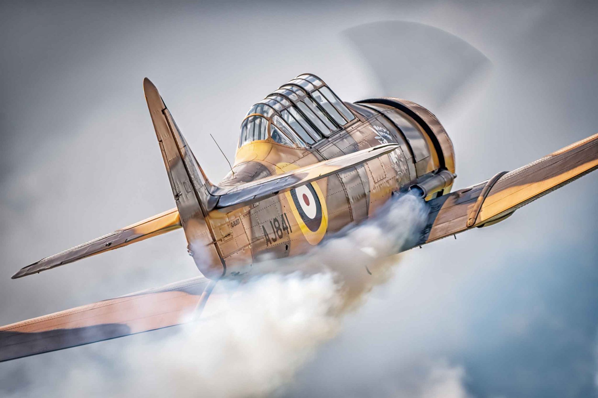 Learning to fly the Wacky Wabbit : : FLYER