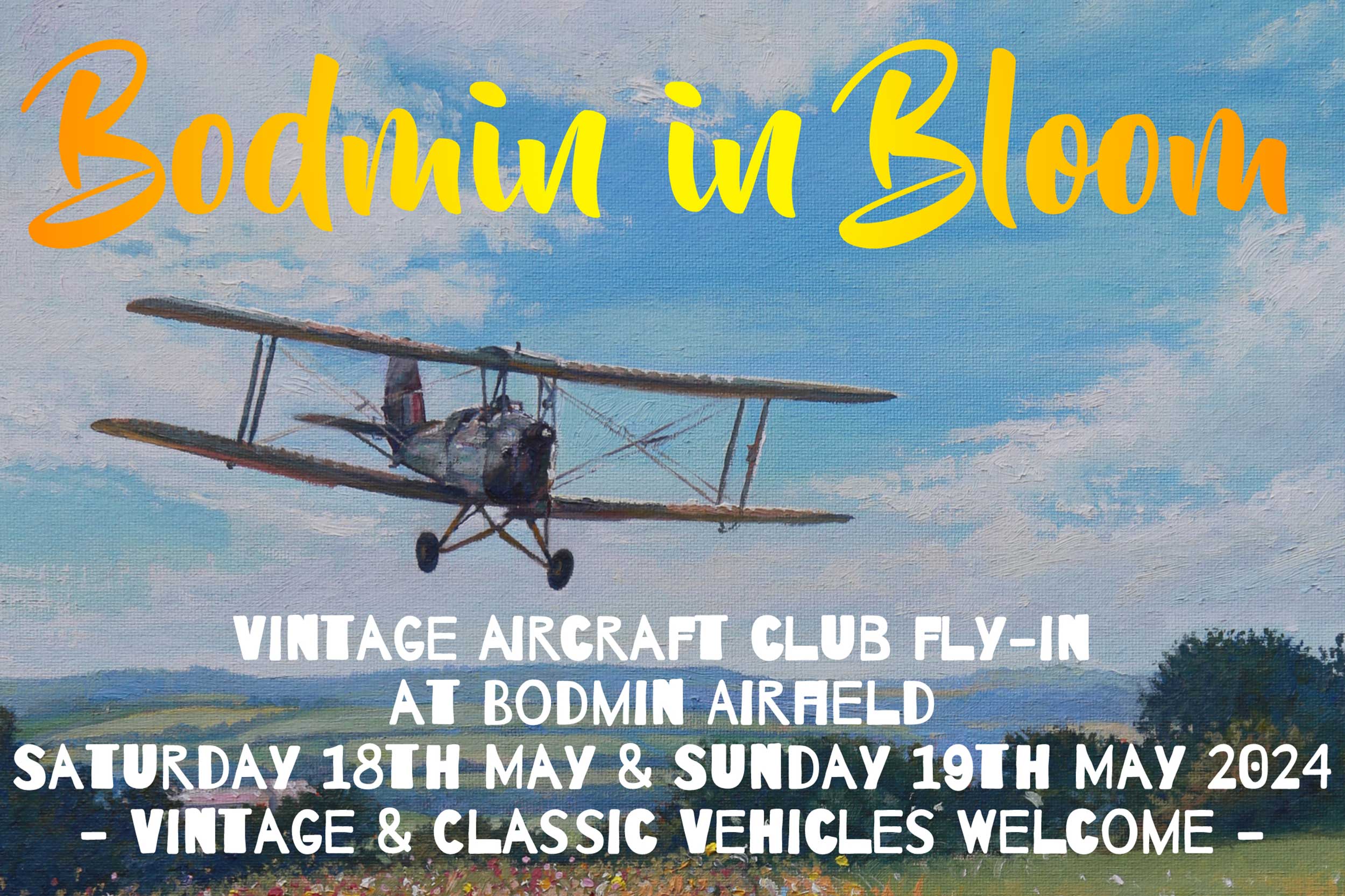Vintage Aircraft Club Fly-in, Bodmin : : FLYER