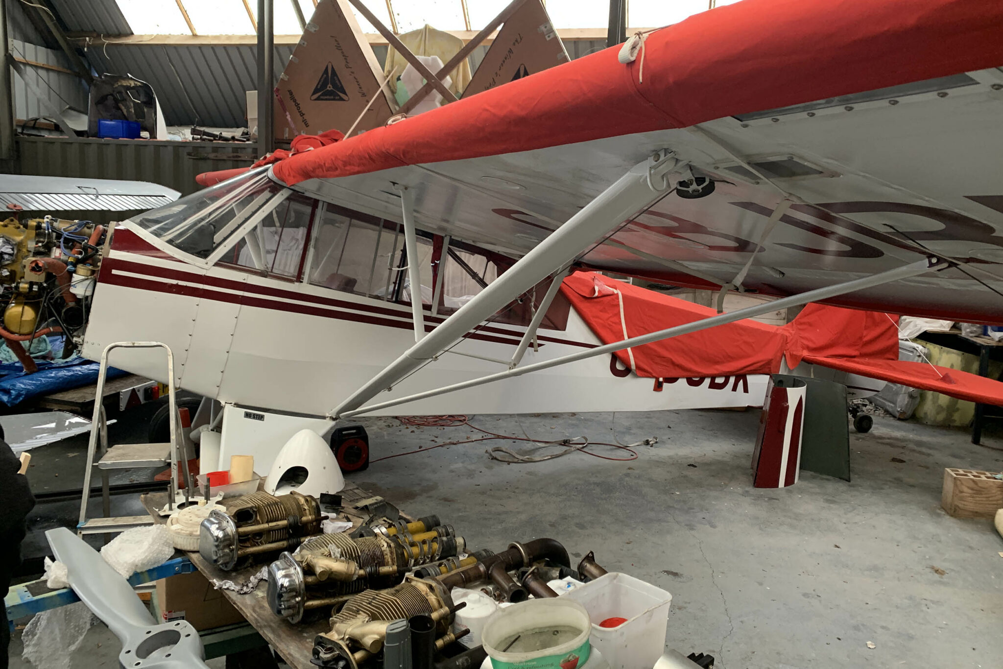 Piper Super Cub reawakened : : FLYER