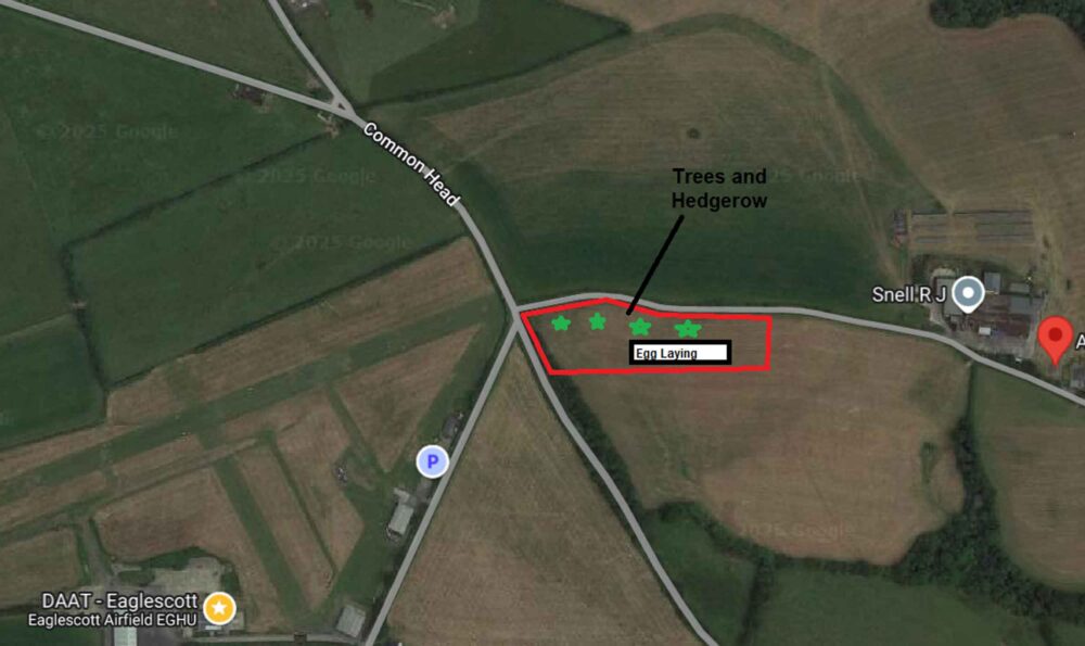 Eaglescott Airfield faces chicken shed dilemma : : FLYER