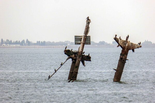 Explosive-filled Sheppey shipwreck now off-limits for pilots : : FLYER